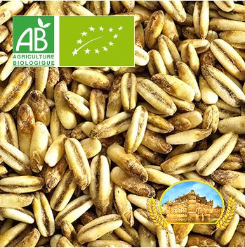 Malt Château Avoine (Oat) Nature BIO | Première Moisson - La Malterie ...